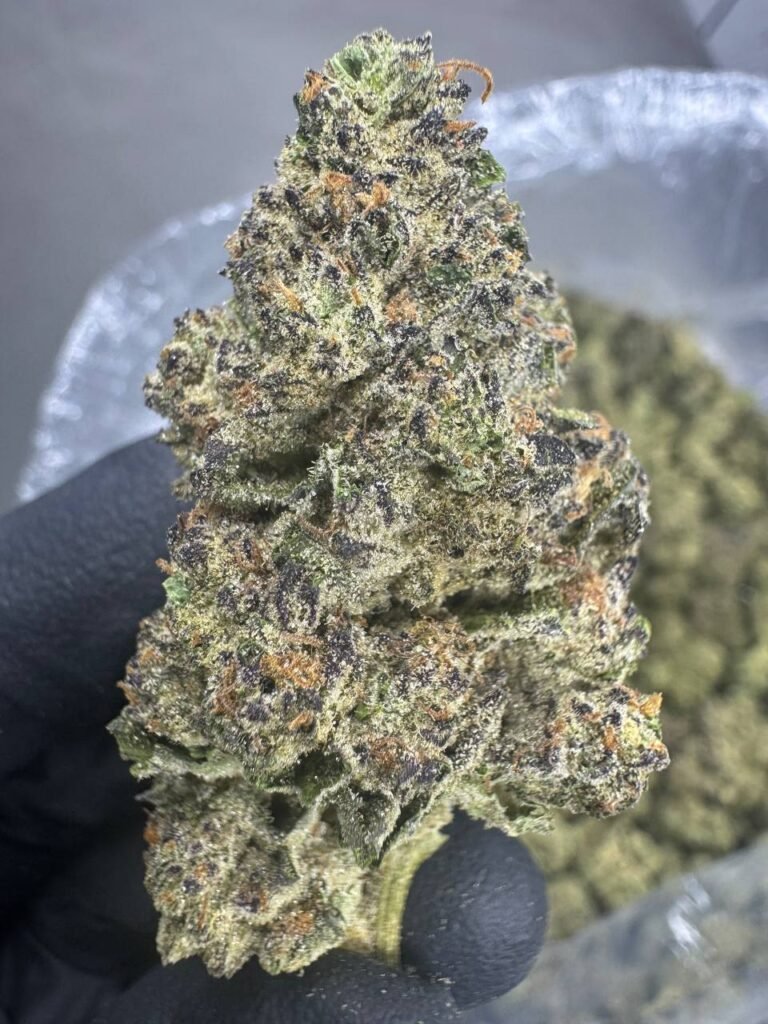 Cereal Milk Indoor Bulk THCA Flower – 26% THCA Wholesale